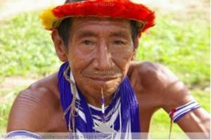 Piaroa: Lengua, Vestimenta, tradiciones y gastronomía