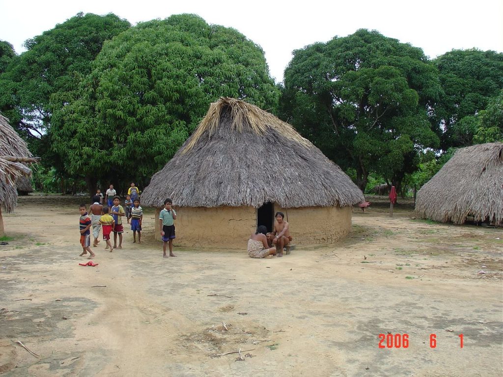 Pueblo Panares - Etnia E'ñepás o E'ñapa - Pueblos Indigenas