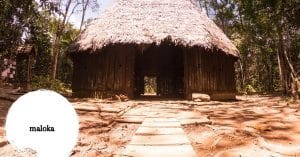 Tuyuca | Ubicación, Vestimenta, Vivienda, Alimentación y Lengua